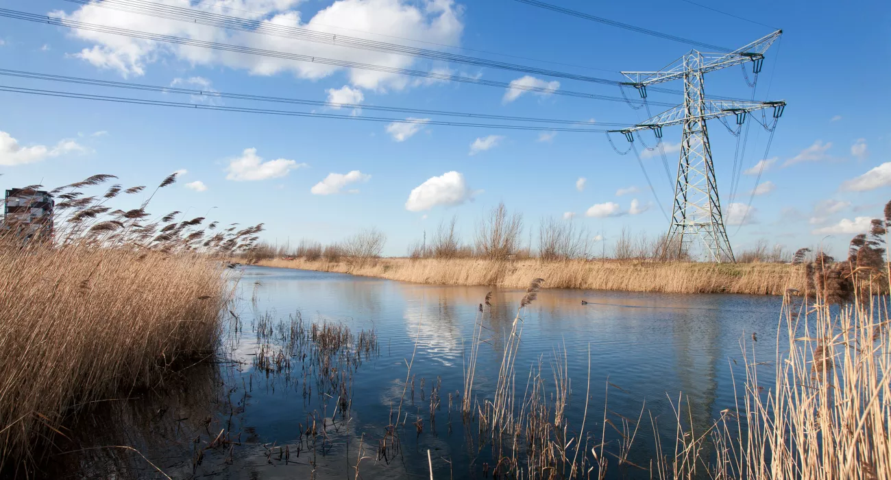 CARB Relaxes Carbon Emission Reporting Requirements and Seeks Comment ...