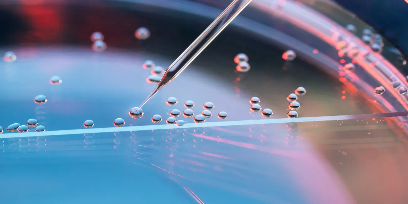 The Eyes Have It: FDA Approves Phase 1 Clinical Trial of Life ...