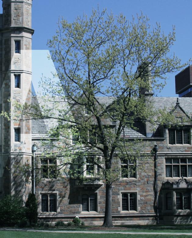 Locations | ArentFox Schiff